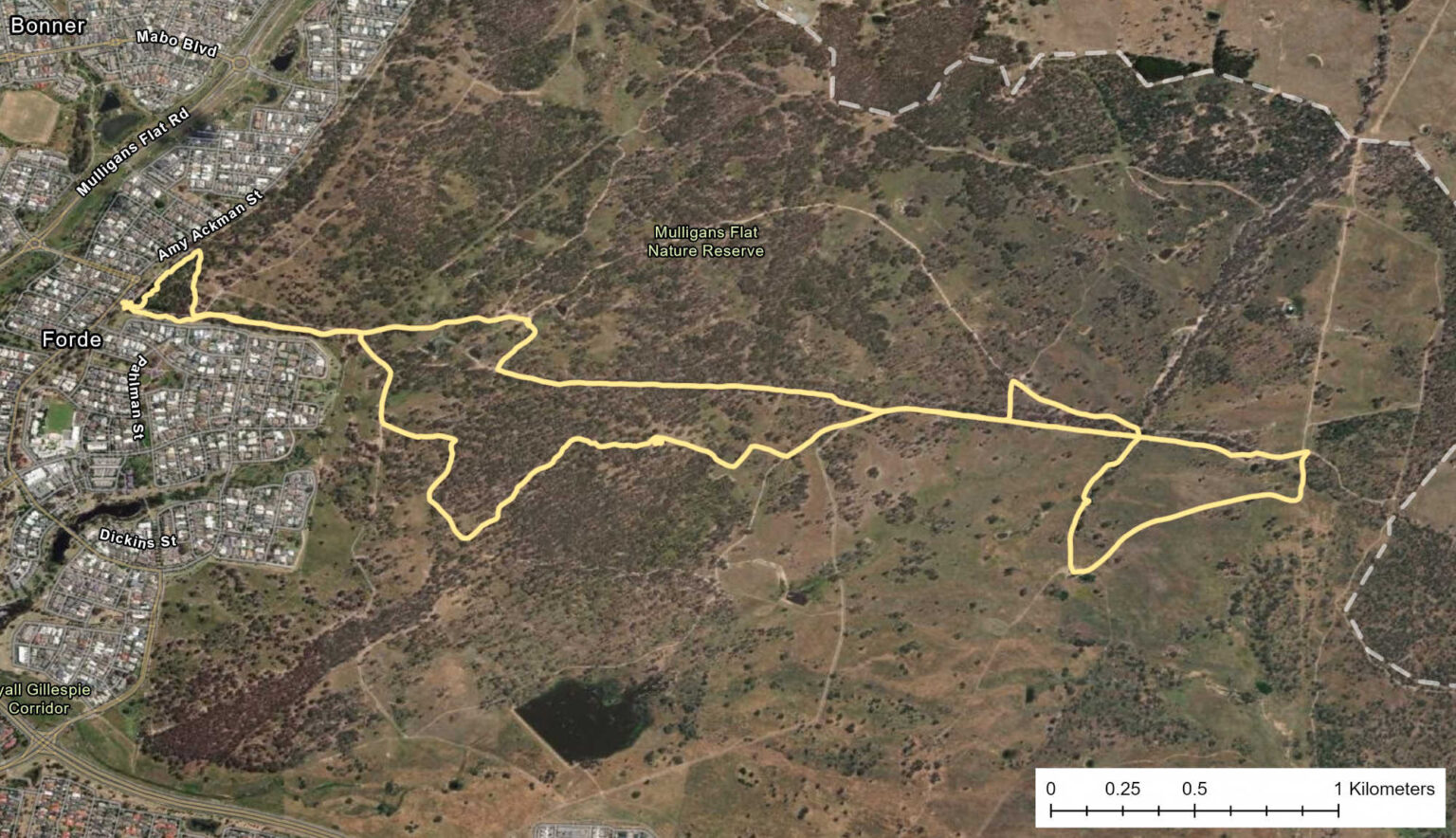 Exploring 'Lost Person Behavior' and the Science of Search and Rescue ...