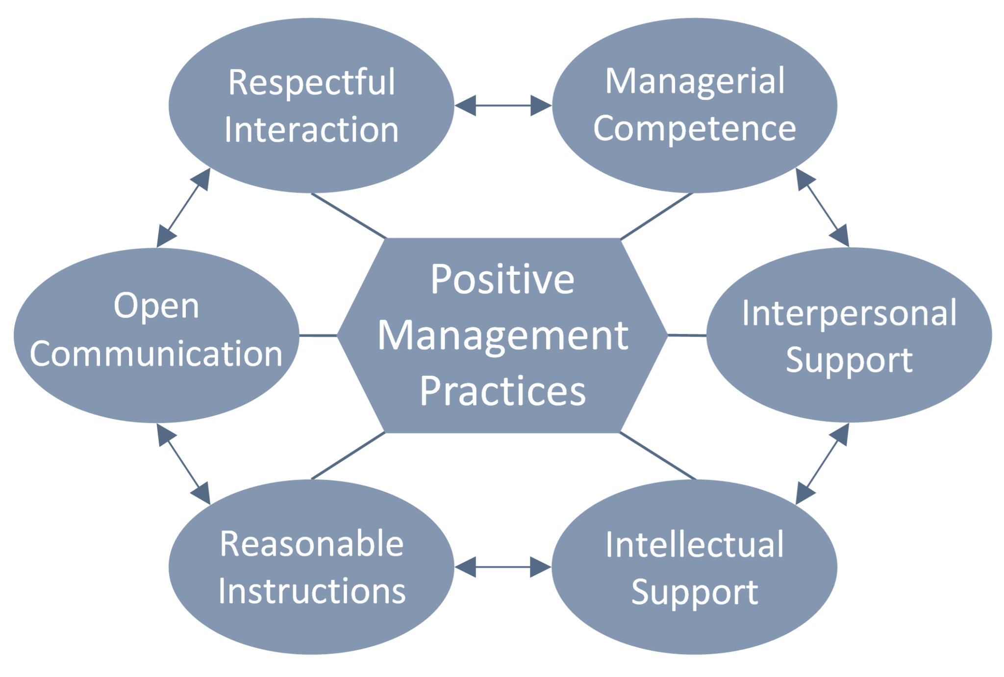 Positive Management Practices as Cornerstone for a Sustainable Transformation - Social Science Space