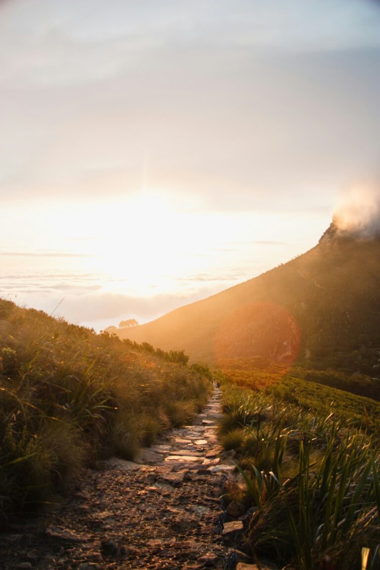 mountain path into bright light_tim-johnson-unsplash - Social Science Space